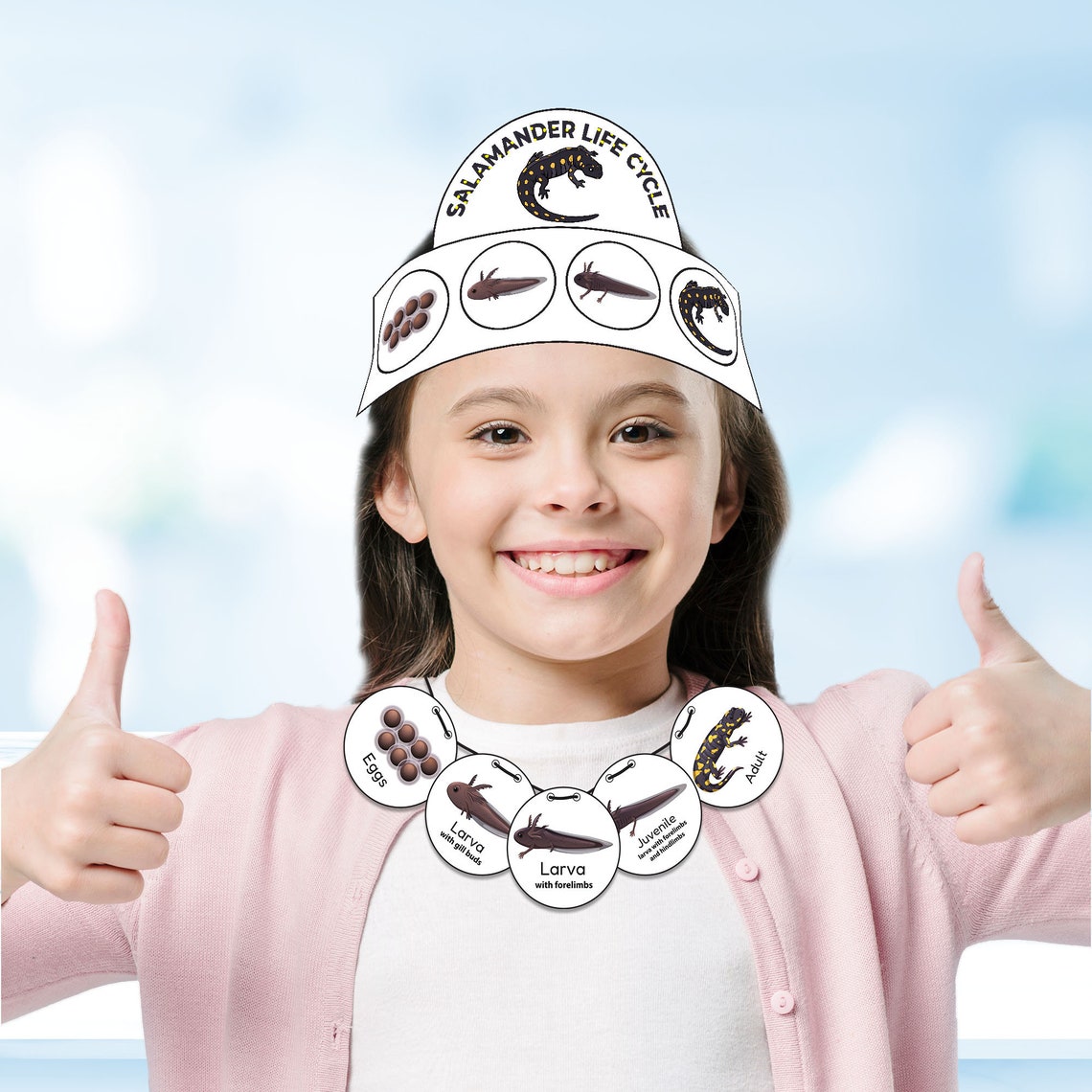 Salamander Life Cycle Activities | Homeschool Printable | Foldable ...