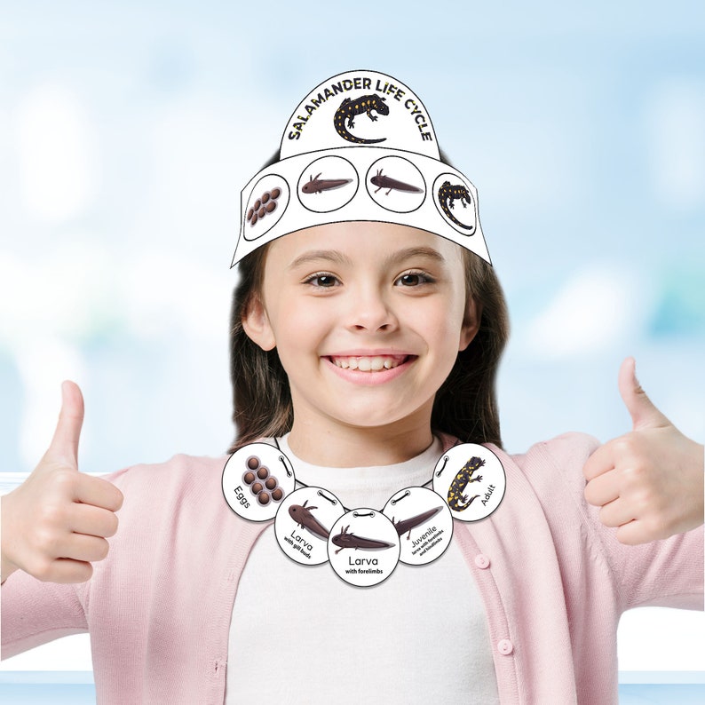 Salamander Life Cycle Activities | Homeschool Printable | Foldable ...