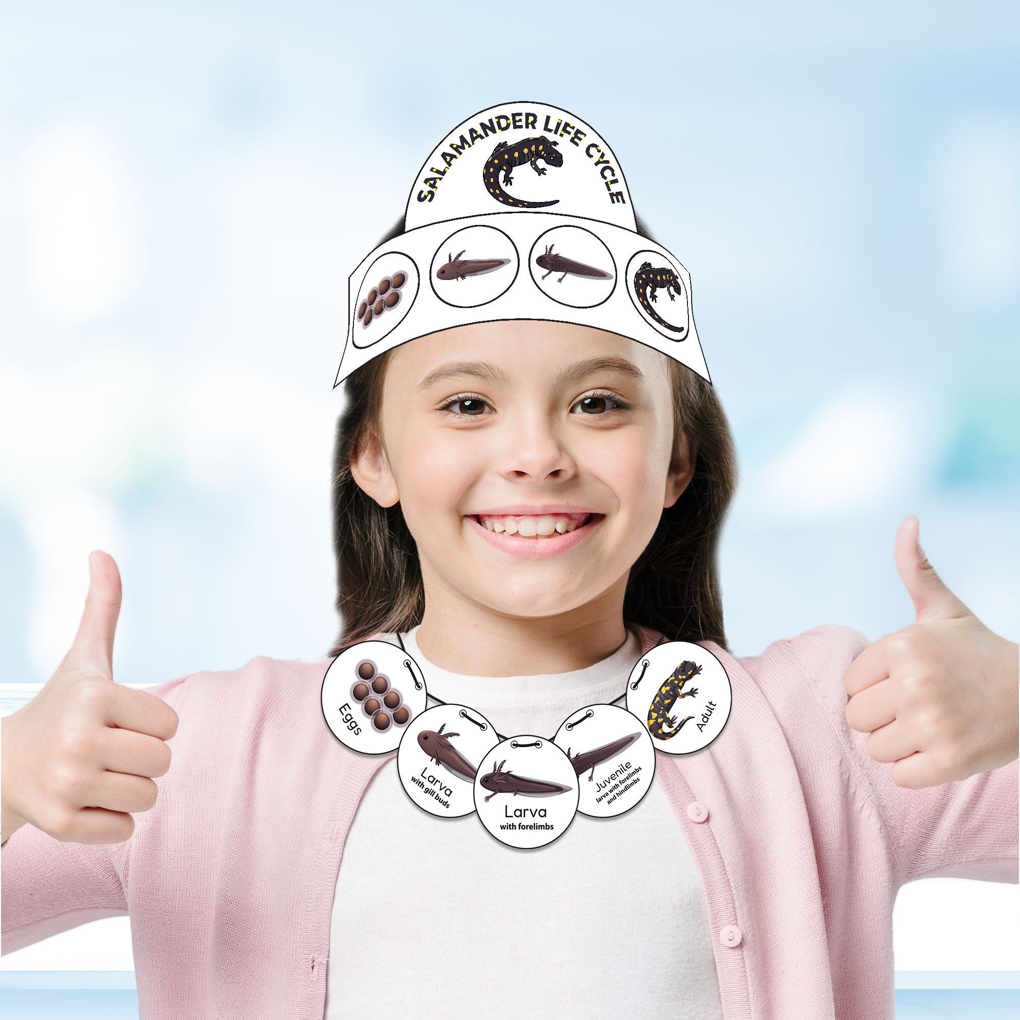 Salamander Life Cycle Activities | Homeschool Printable | Foldable ...