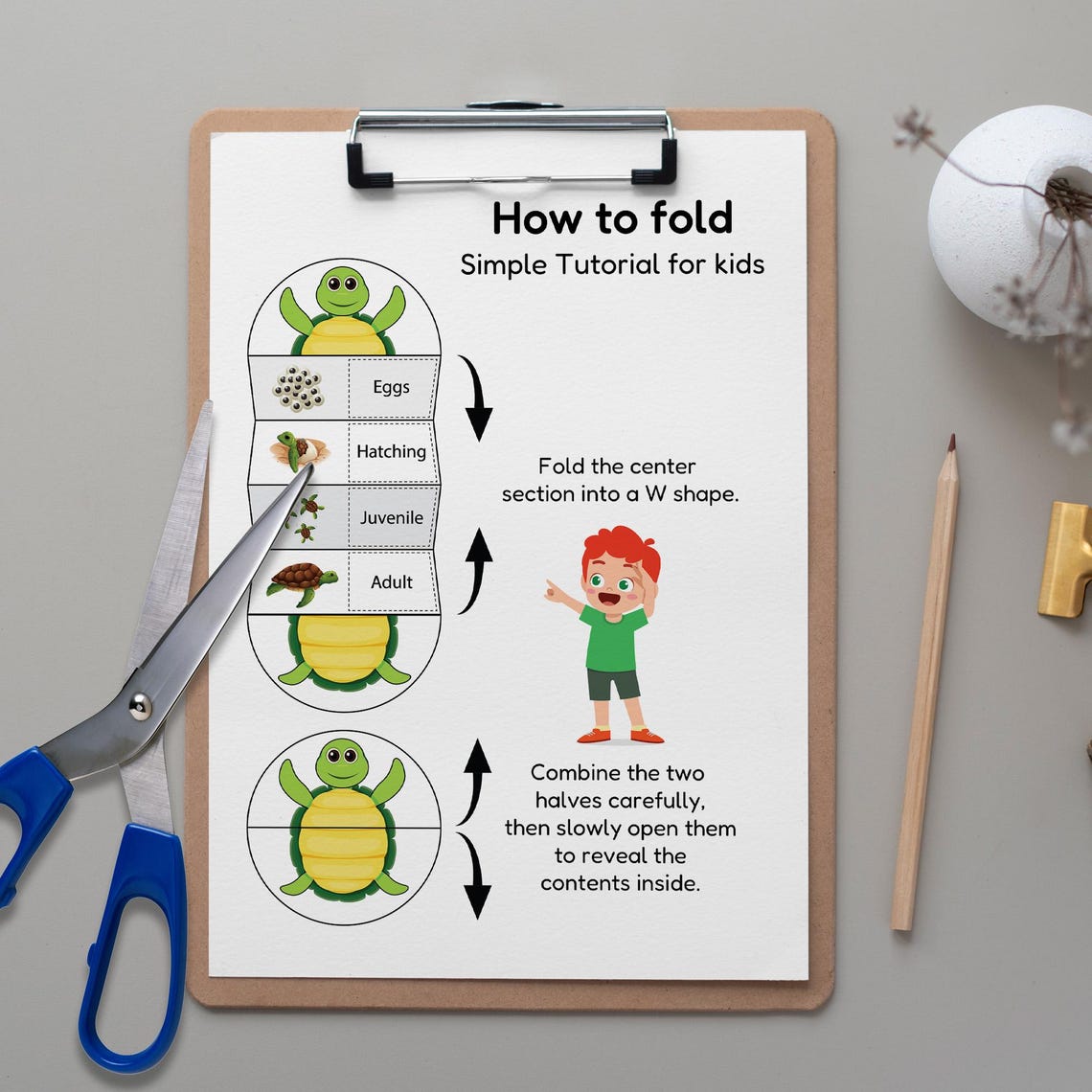 Turtle Life Cycle Activity Pack – Fun & Interactive Science Worksheets ...
