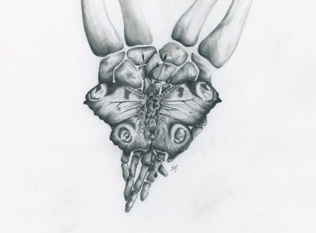 Skeleton Hands Butterfly Print- Pencil Sketch - Etsy
