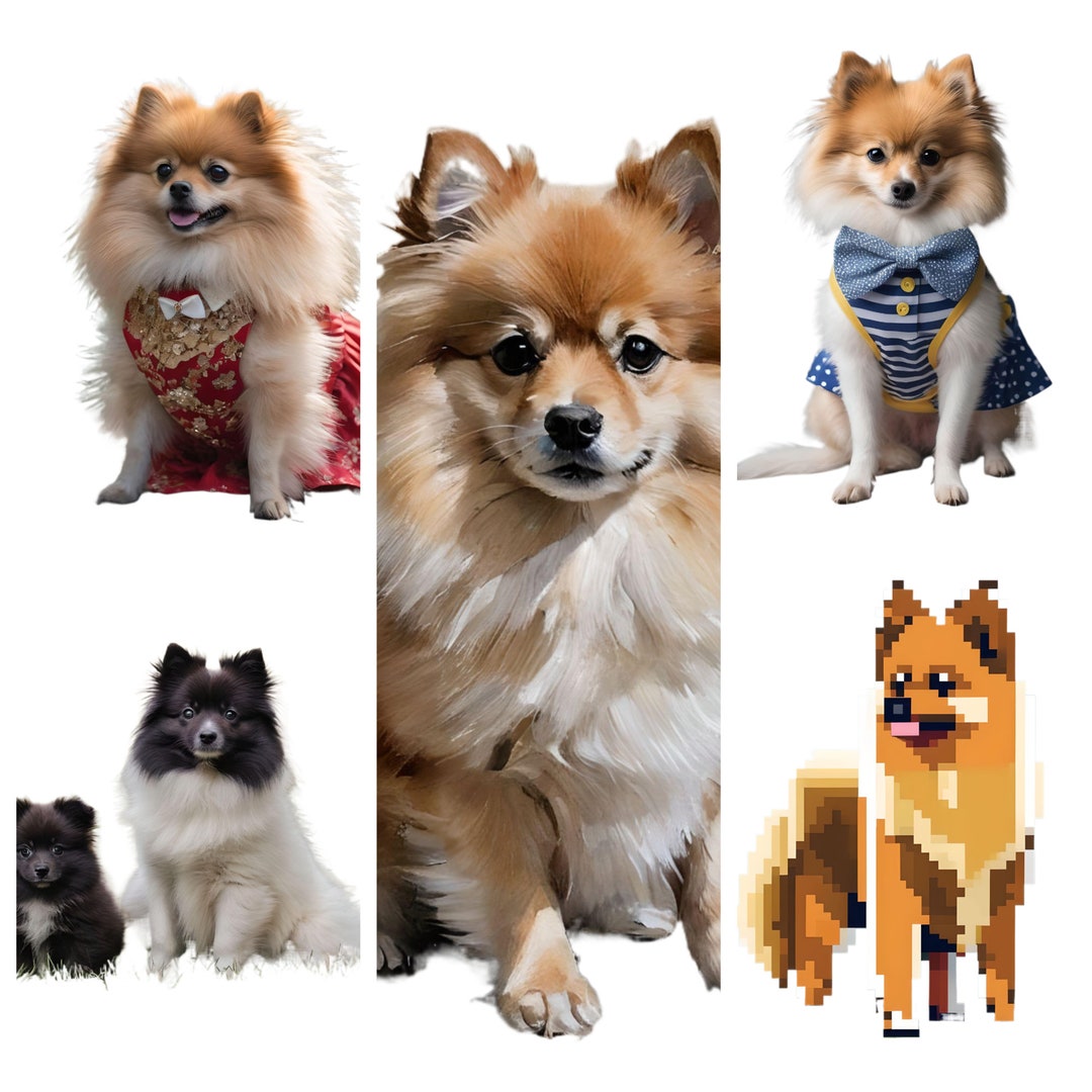 11 Dog Clip Art, PNG German Spitz, Clip Art Dog Puppy, German Spitz PNG ...