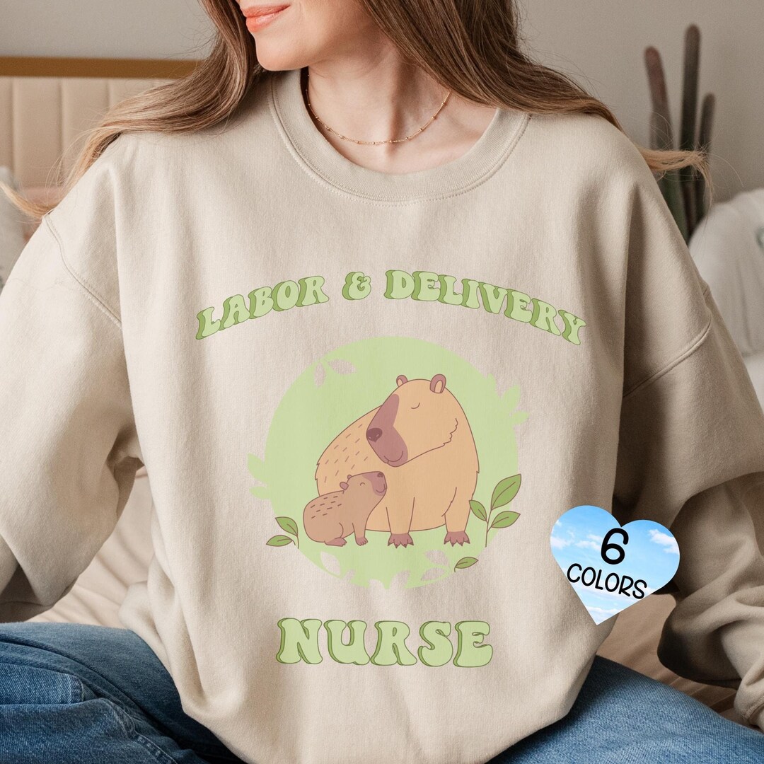 LABOR and DELIVERY Nurse Capybara Sweatshirt, Retro Boho RN Crewneck ...