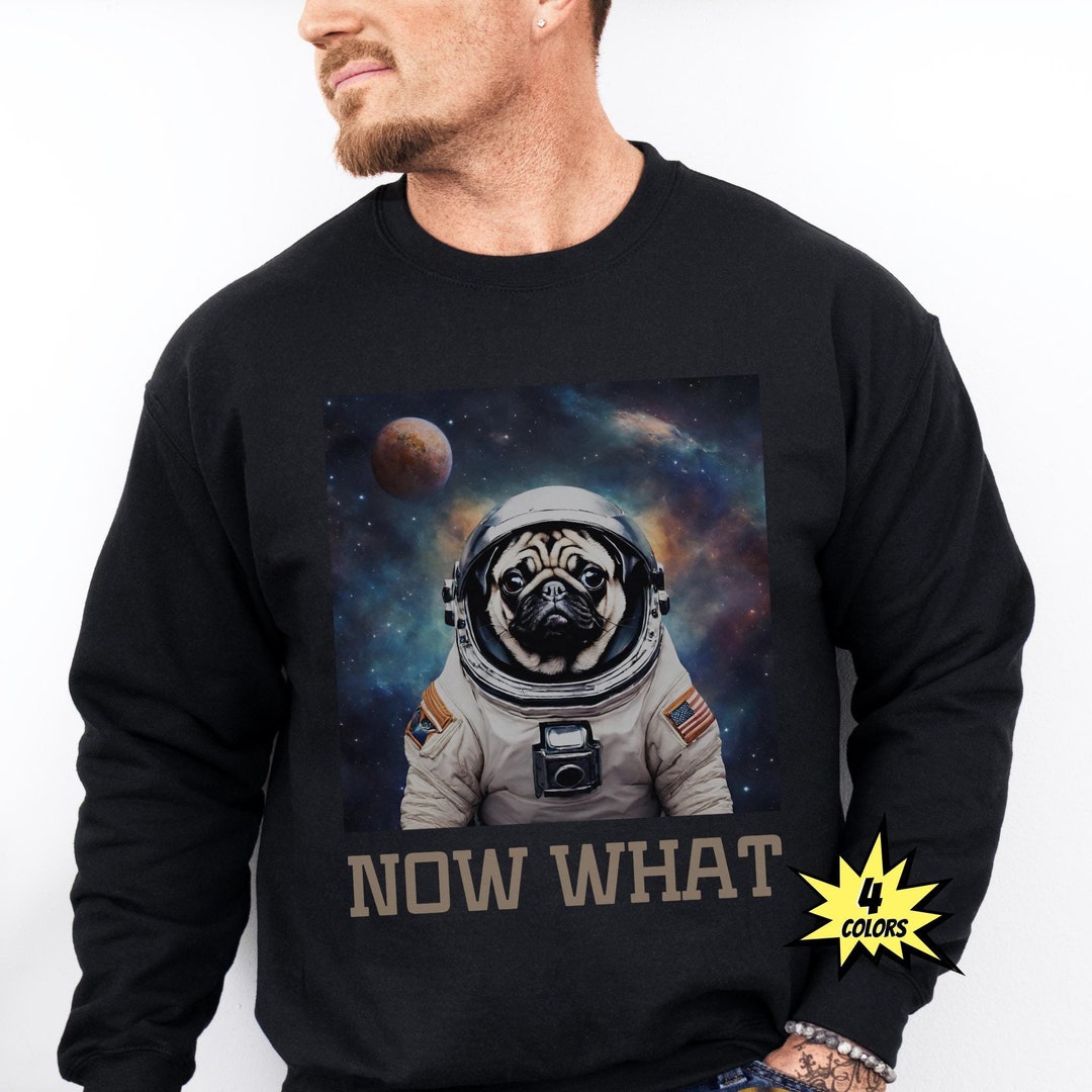 Now What Pug Sweatshirt, Funny Weirdcore Space Dog Shirt, Gift for ...