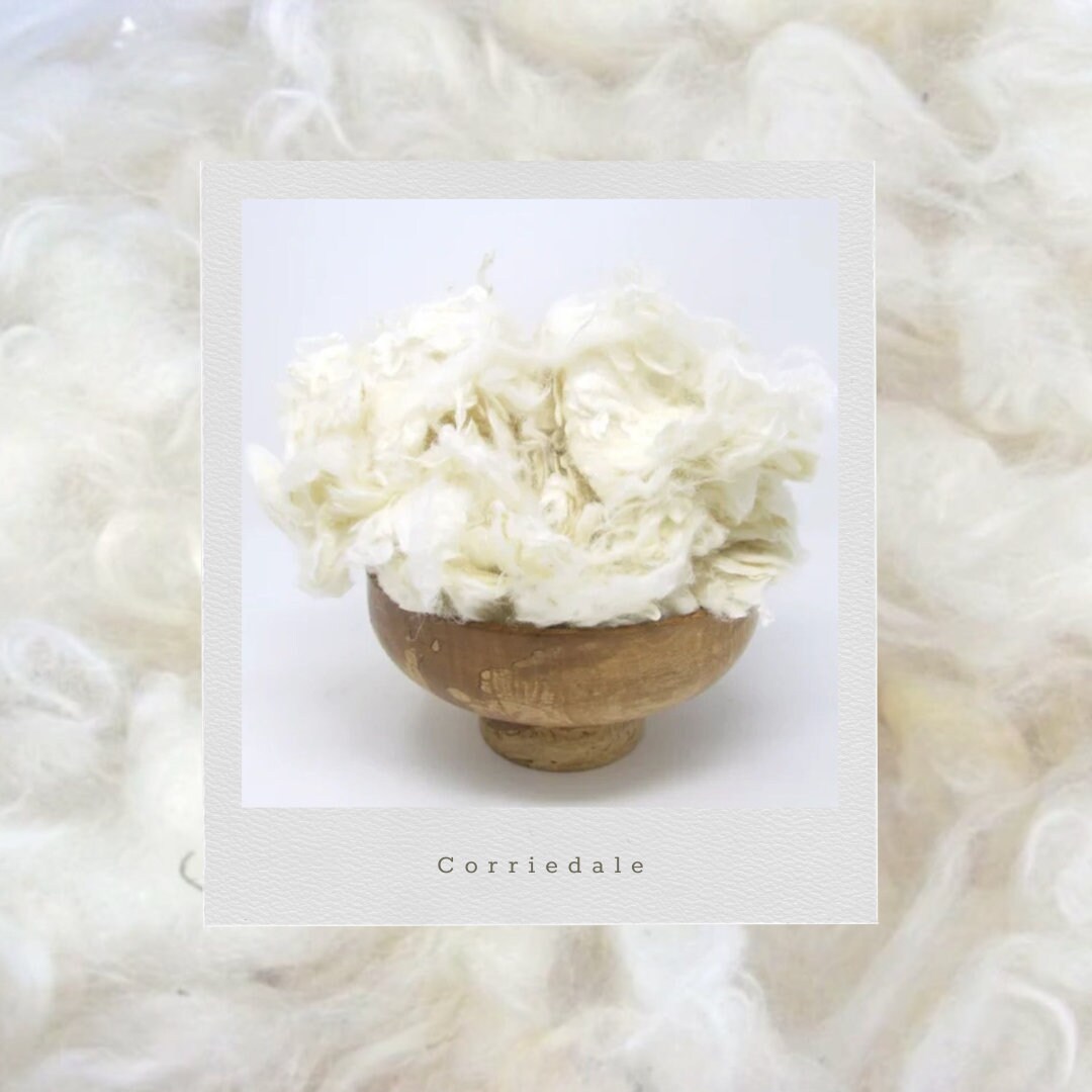 Corriedale Lambswool Fleece Scoured 100g - Etsy