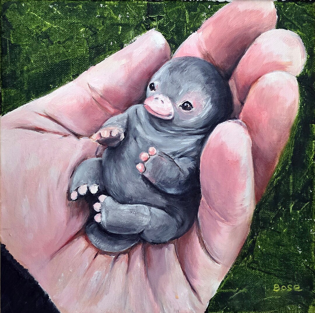Adorable Tiny Baby Platypus Notecard - Etsy