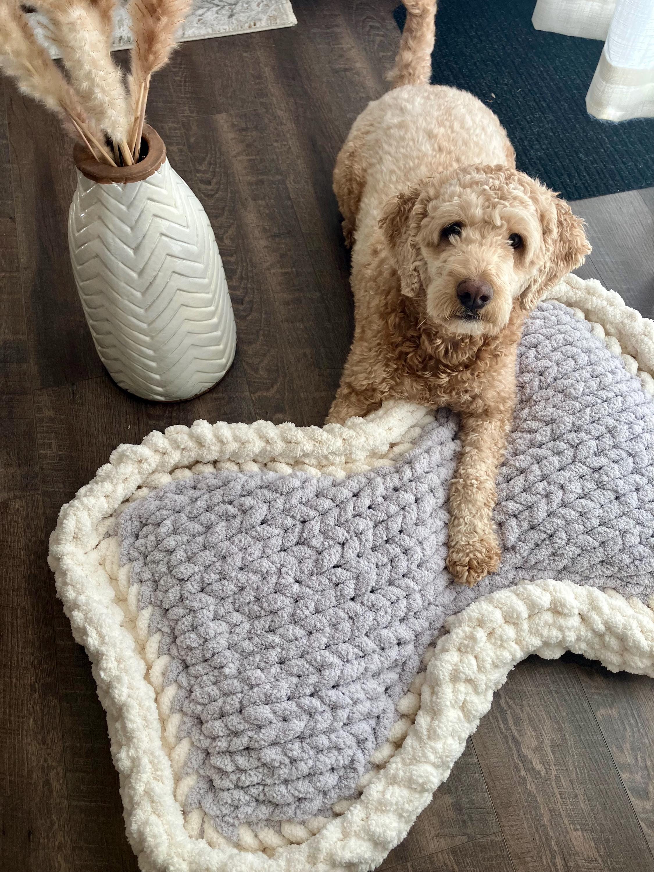 Chunky Hand-knit Dog Bone Bed | Ultra Soft | Cozy | Stylish - Etsy