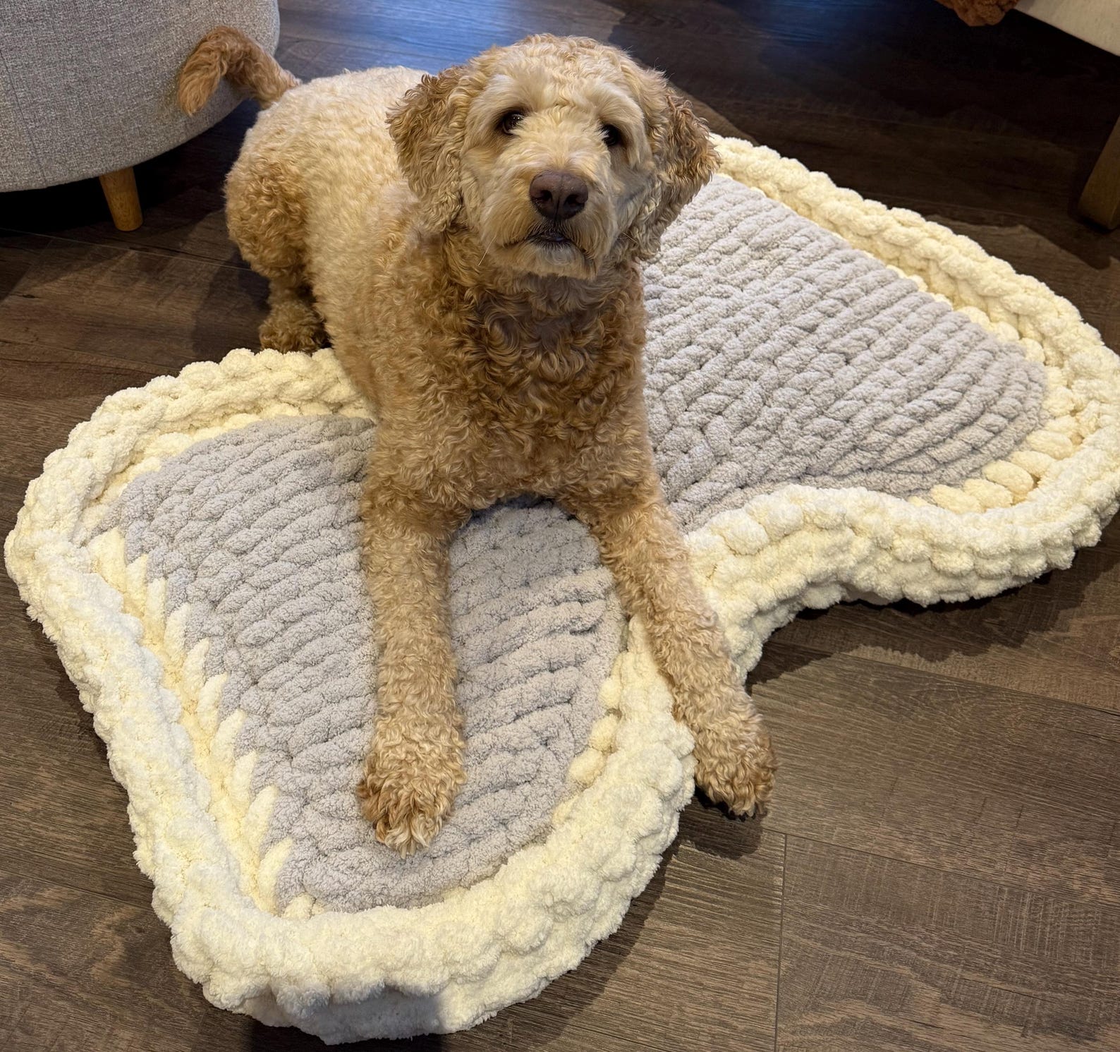 Chunky Hand-knit Dog Bone Bed | Ultra Soft | Cozy | Stylish - Etsy