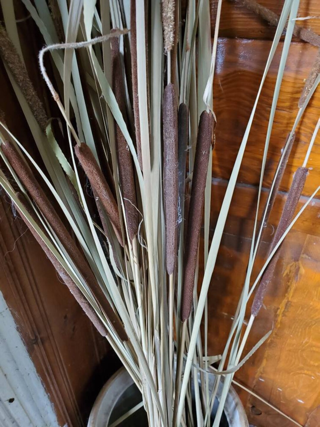 Skinny Smaller CATTAILS Naturally Dried FLOWER Bunches - Etsy