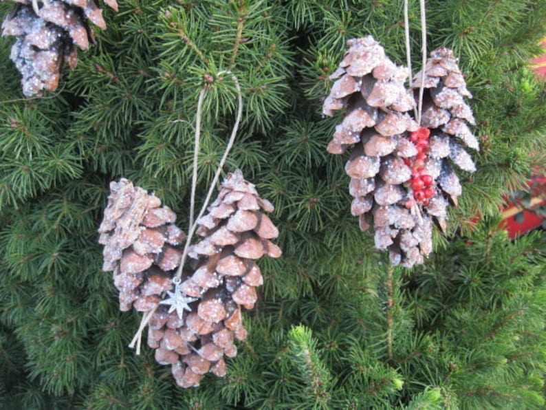 PINE CONE HEART Hanging Tree Love Ornament - Etsy
