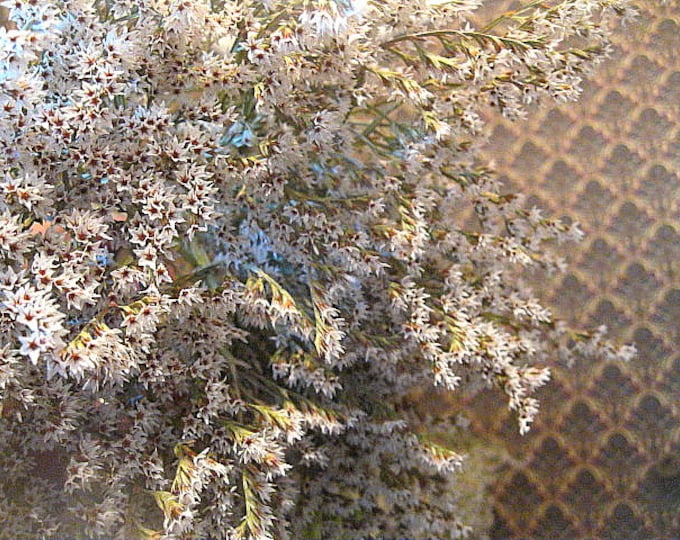 GERMAN STATICE Naturally Dried FLOWER Bunches - Etsy