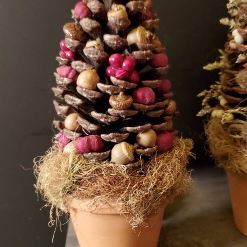 Pine Cone Star - Etsy