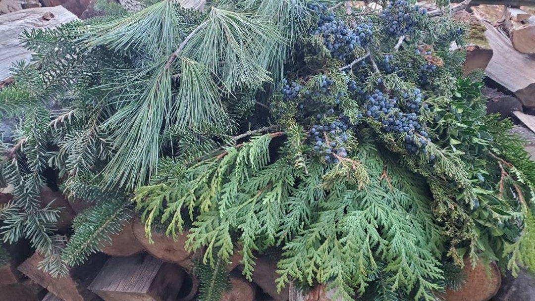 WHOLESALE BOX Fresh Holiday Greens Mixed Evergreen Boughs 4 Pounds - Etsy
