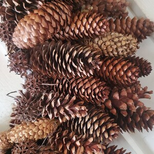 Extra Large PINE CONE WREATH Natural Dried Decor 26 Inch - Etsy