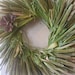 MILLET WREATH Naturally Dried FALL Decoration - Etsy