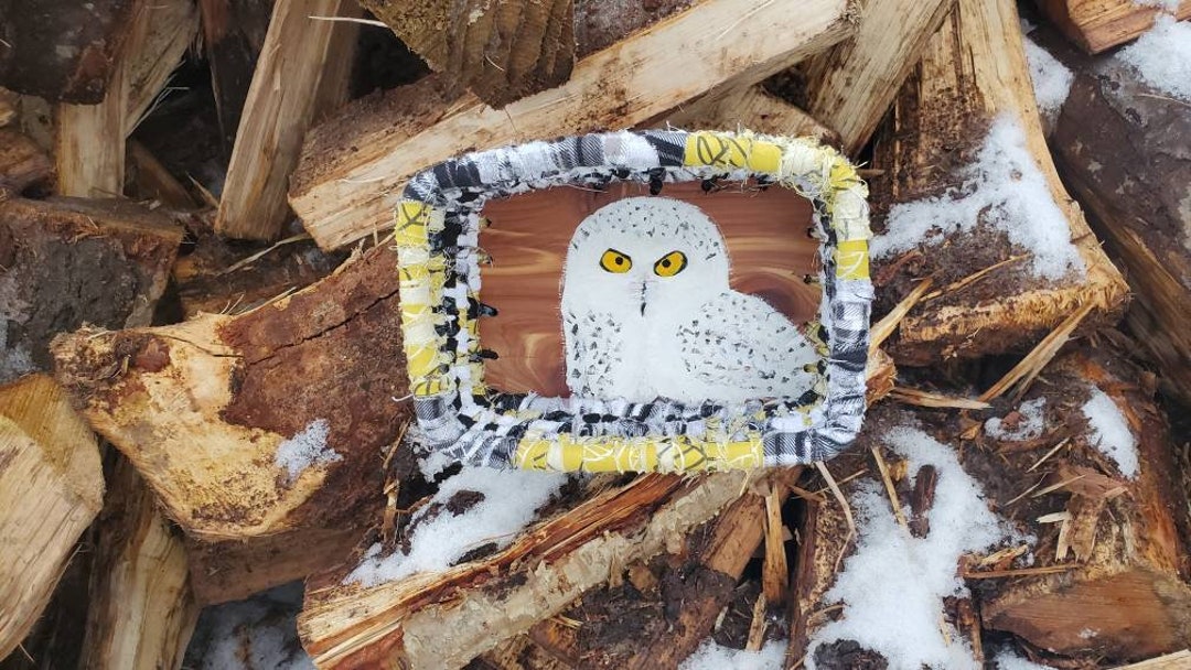 SNOWY OWL Hand Painted Basket Tray SERIES of Birds Storage Vessels - Etsy