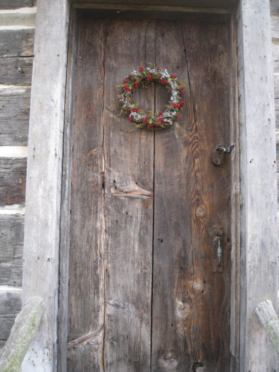 CHICKEN WIRE Cage WREATH Dried Flower & Pine Cone Winter - Etsy