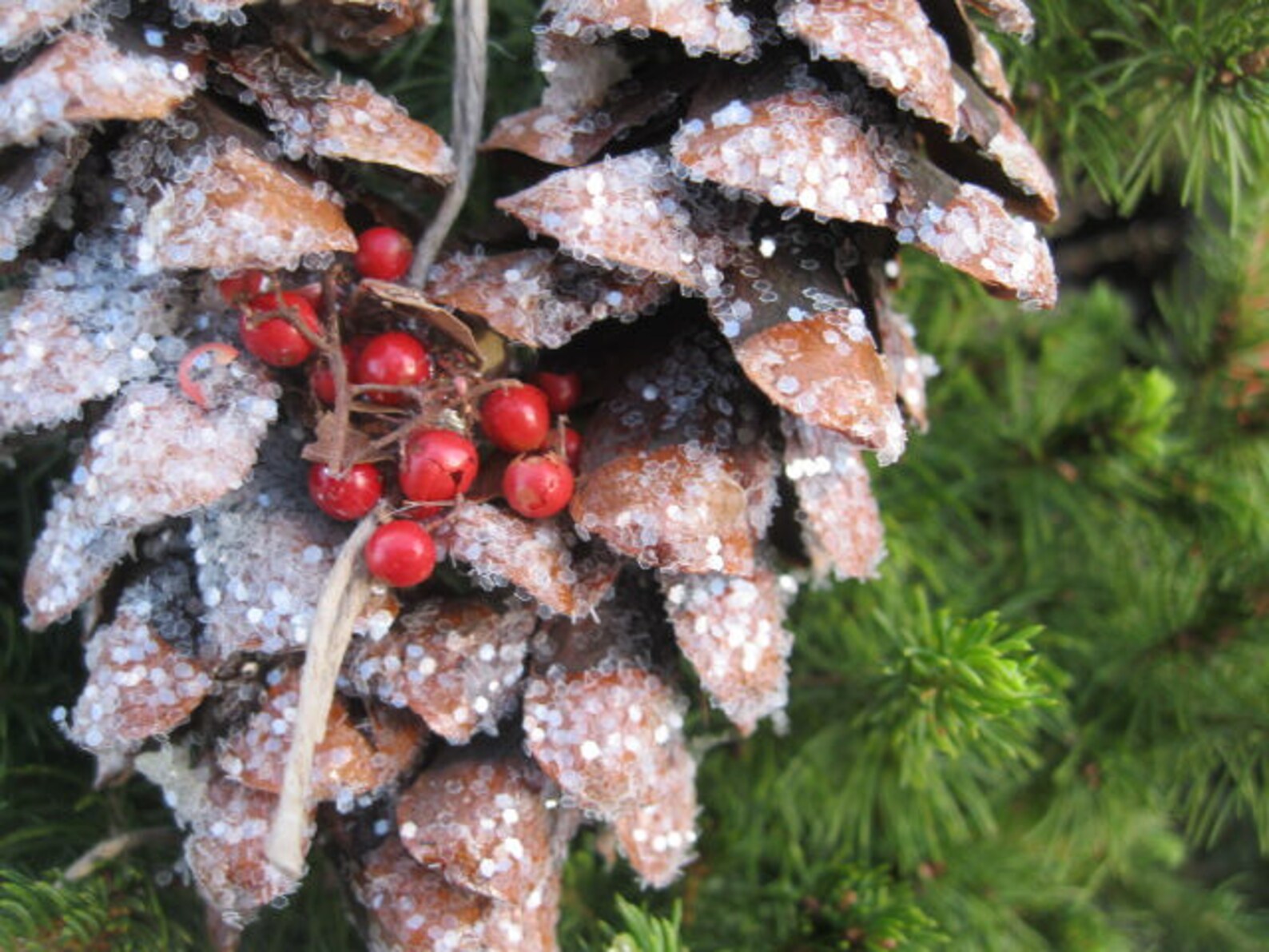 PINE CONE HEART Hanging Tree Love Ornament - Etsy