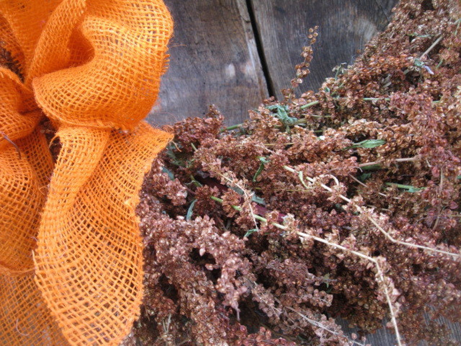 DOCK WREATH Natural DRIED Flower for Autumn - Etsy