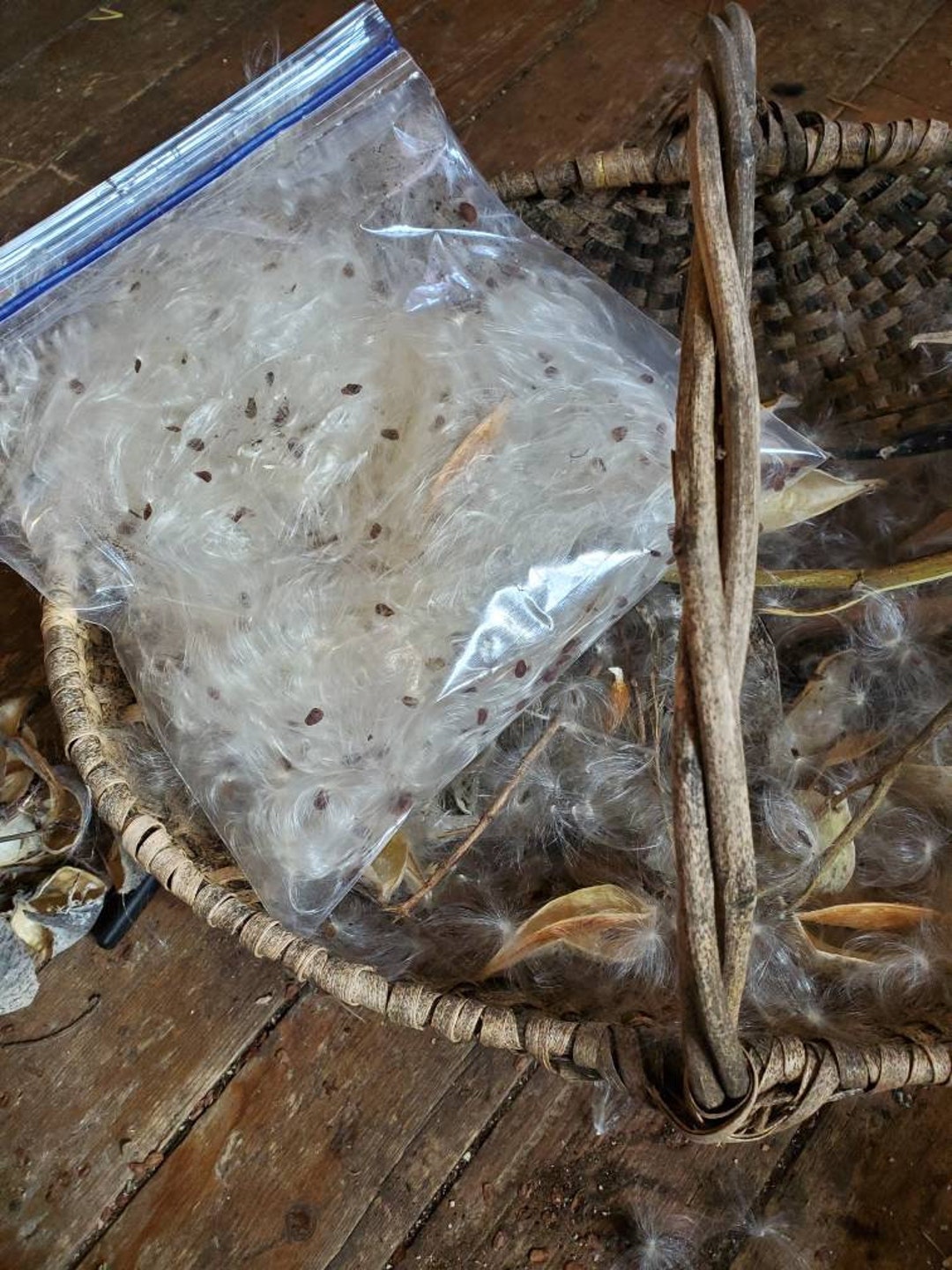 COMMON MILKWEED SEEDS With Fluff - Etsy