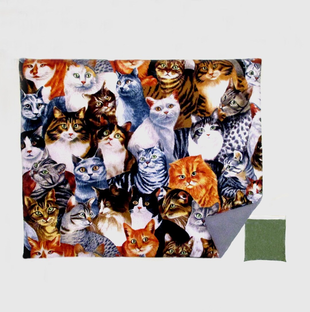 Catnip Mat plus Catnip 13.5 X 16 Inches Cats MULTICOLORED CAT Print ...