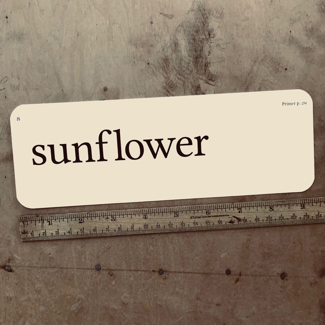 XL Sunflower Flash Card - Etsy