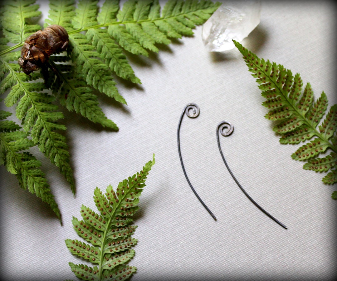 Fiddlehead // Sterling Silver Forest Fern Earrings - Etsy