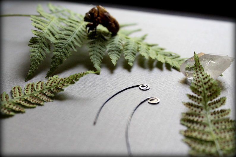 Fiddlehead // sterling silver forest fern earrings | Etsy
