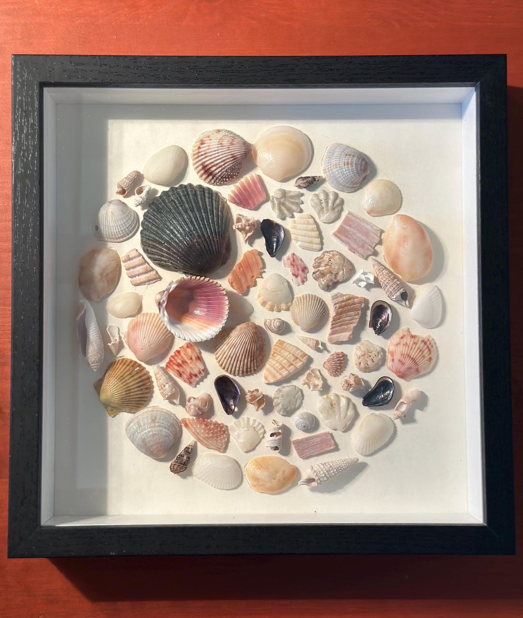 Sea Shell Mosaic - Etsy