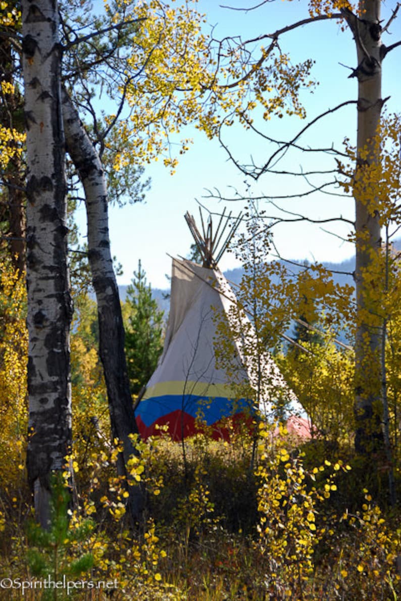 Montana Tipi, Teepee in Autumn Woods, Montana Landscape, Tribal Living ...
