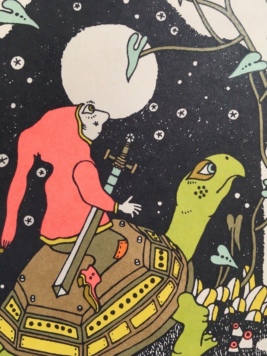 Turtle Rider Silkscreen - Etsy