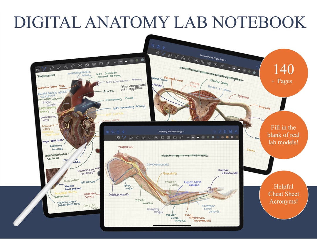 Digital Anatomy and Physiology Lab 1 Notebook - Pre Health Profession ...