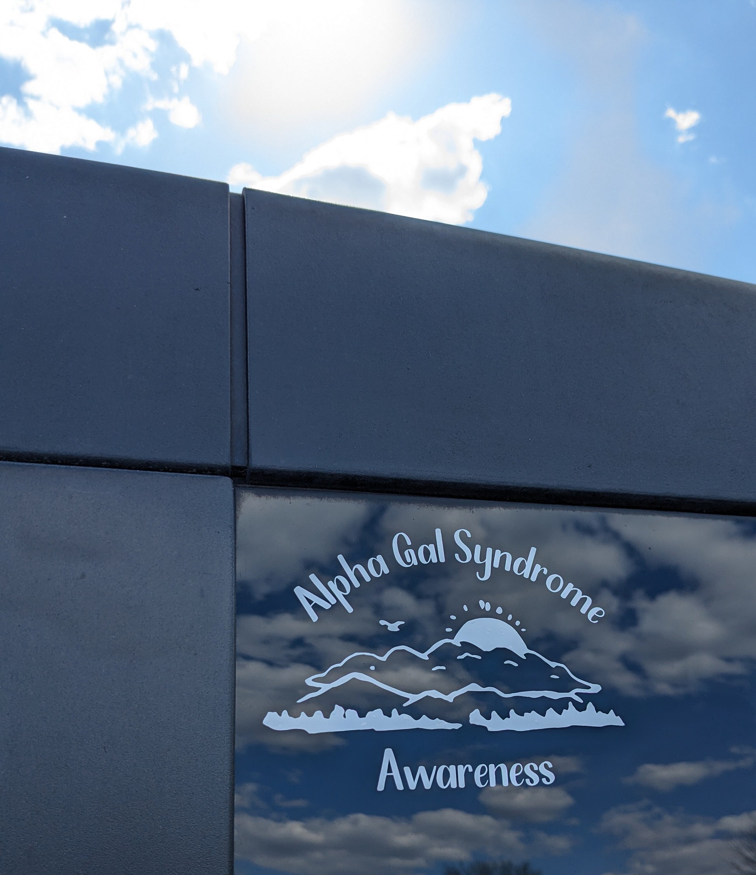 Alpha Gal Syndrome Awareness Car Decal Red Meat Allergy Vinyl Sticker ...