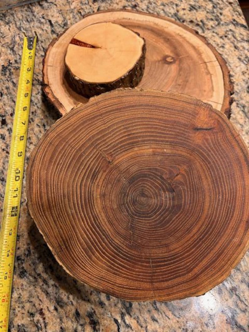 Wooden Cookies - Etsy