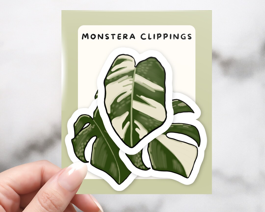 Variegated Monstera Clippings Sticker Pack, Leaf Clippings, Exotic ...