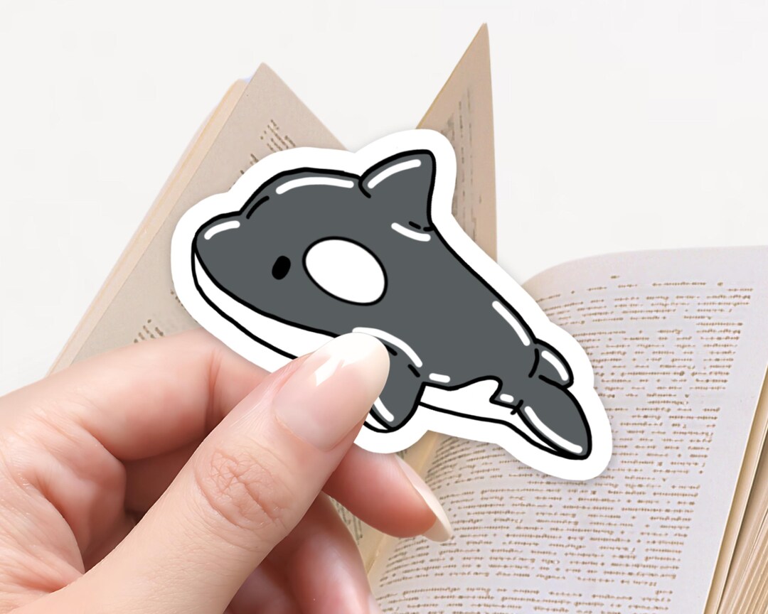 Orca Whale Pool Floatie Sticker: Summer Decor - Etsy
