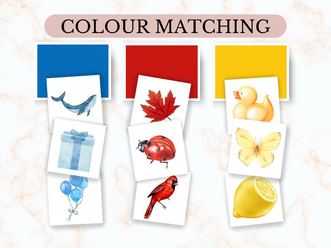 Colour Matching Card Activity Color Flashcards Toddler Preschool ...