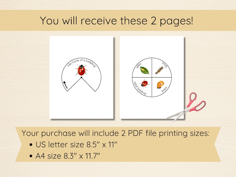 Ladybug Life Cycle Wheel Real Images Montessori Science Activity Unit ...