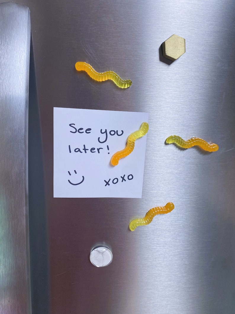 Imperfect Gummy Worm Magnets, Resin Worms, Worm Magnet Set, Spring ...