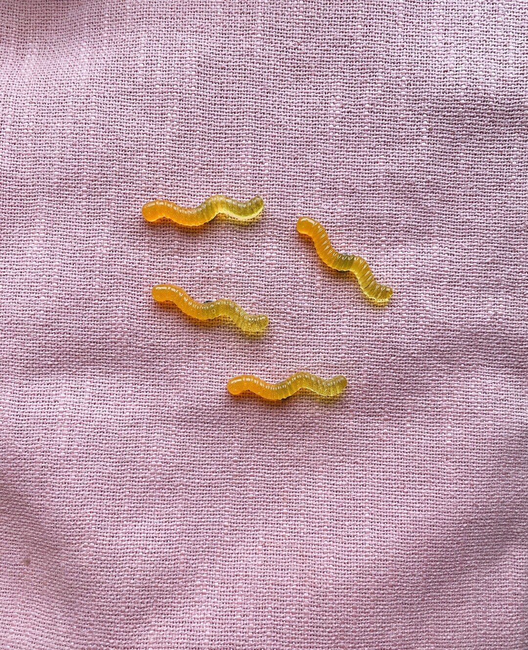 Imperfect Gummy Worm Magnets, Resin Worms, Worm Magnet Set, Spring ...