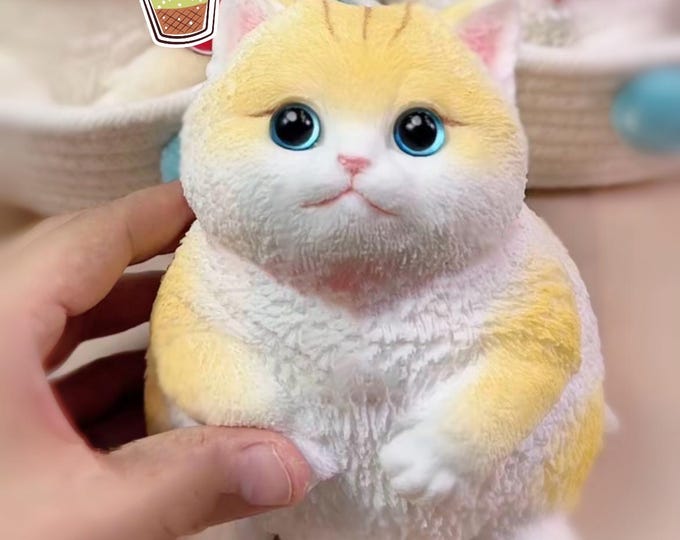 Custom Realistic Cat Squishy | Taba Squishy | Stress Reliver | Gift for ...