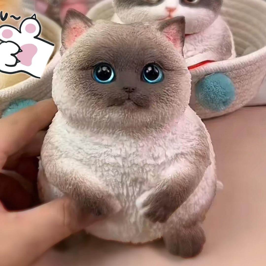 Taba Squishy Cat | Jelly Cat | Squishy Cat | Furry Squishy Cat ...
