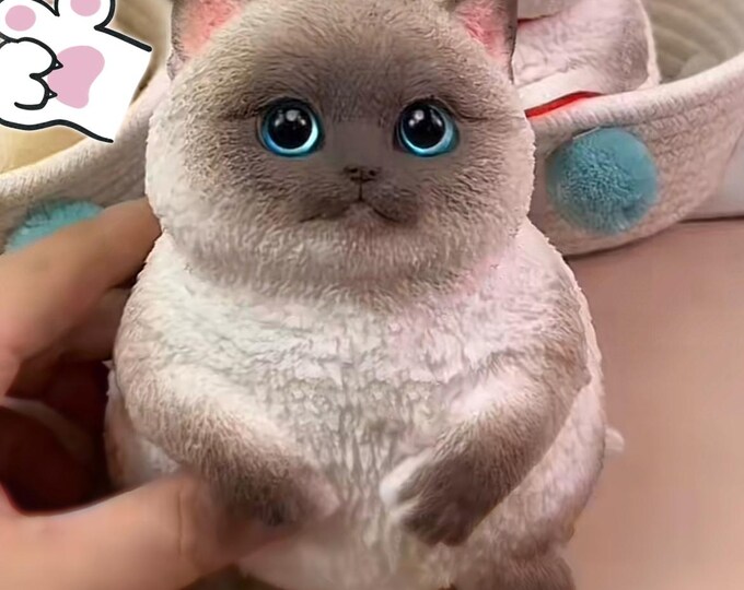 Custom Realistic Cat Squishy | Taba Squishy | Stress Reliver | Gift for ...