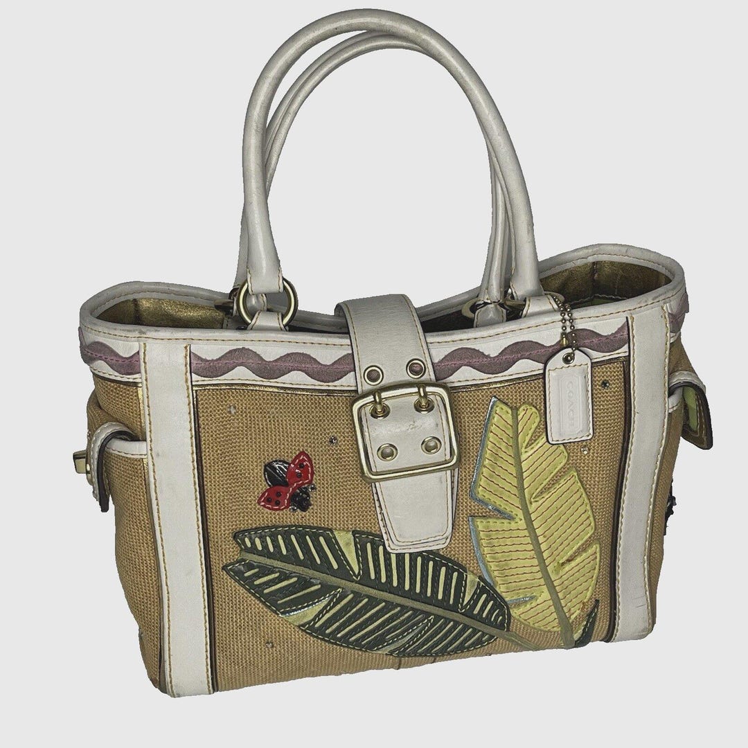 Coach 2004 Leather Straw Purse Leaves Ladybug Appliqué Boxy Tote Bag ...