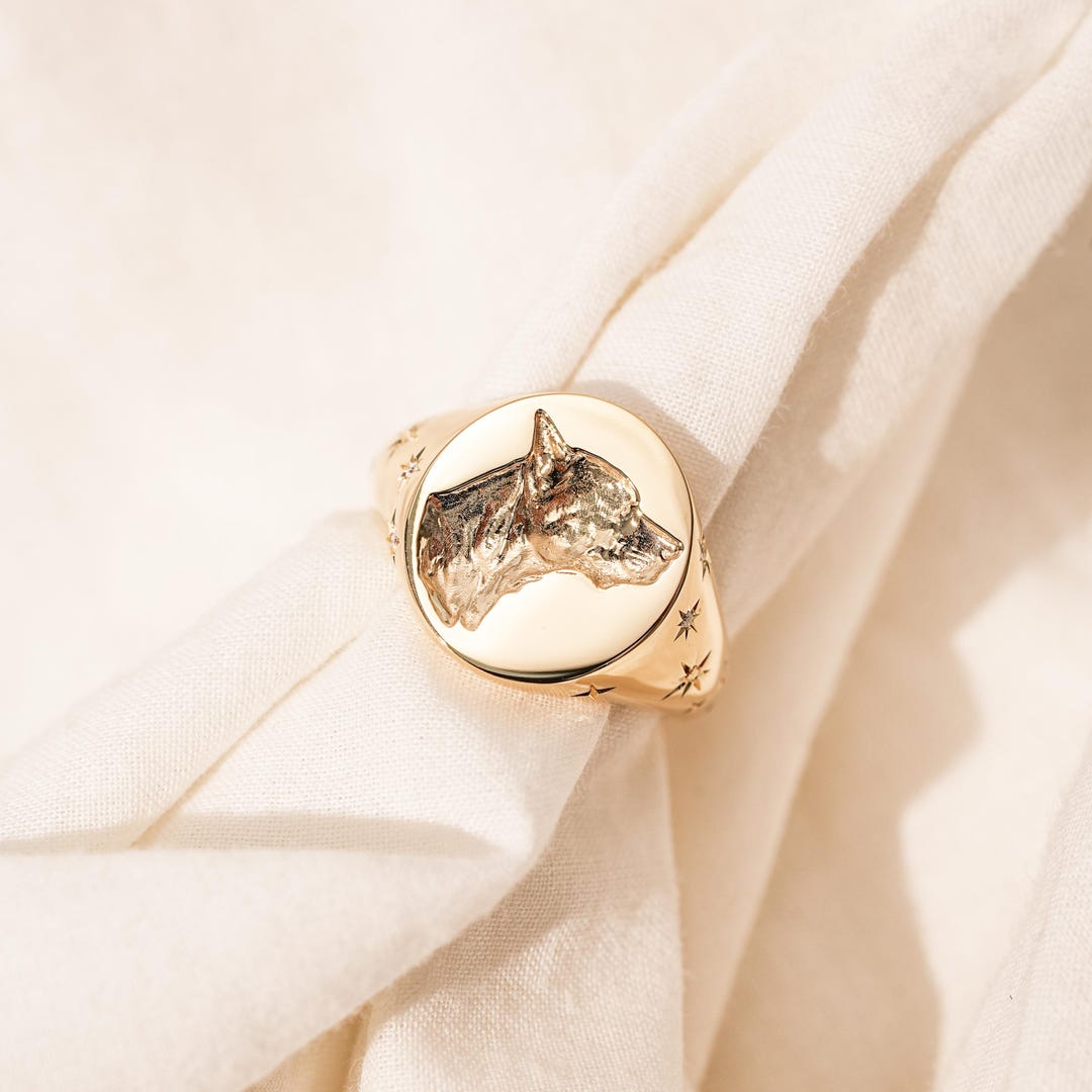 Custom Pet Signet Ring, Pet Memorial Ring, Dog Memorial, Pet Keepsake ...