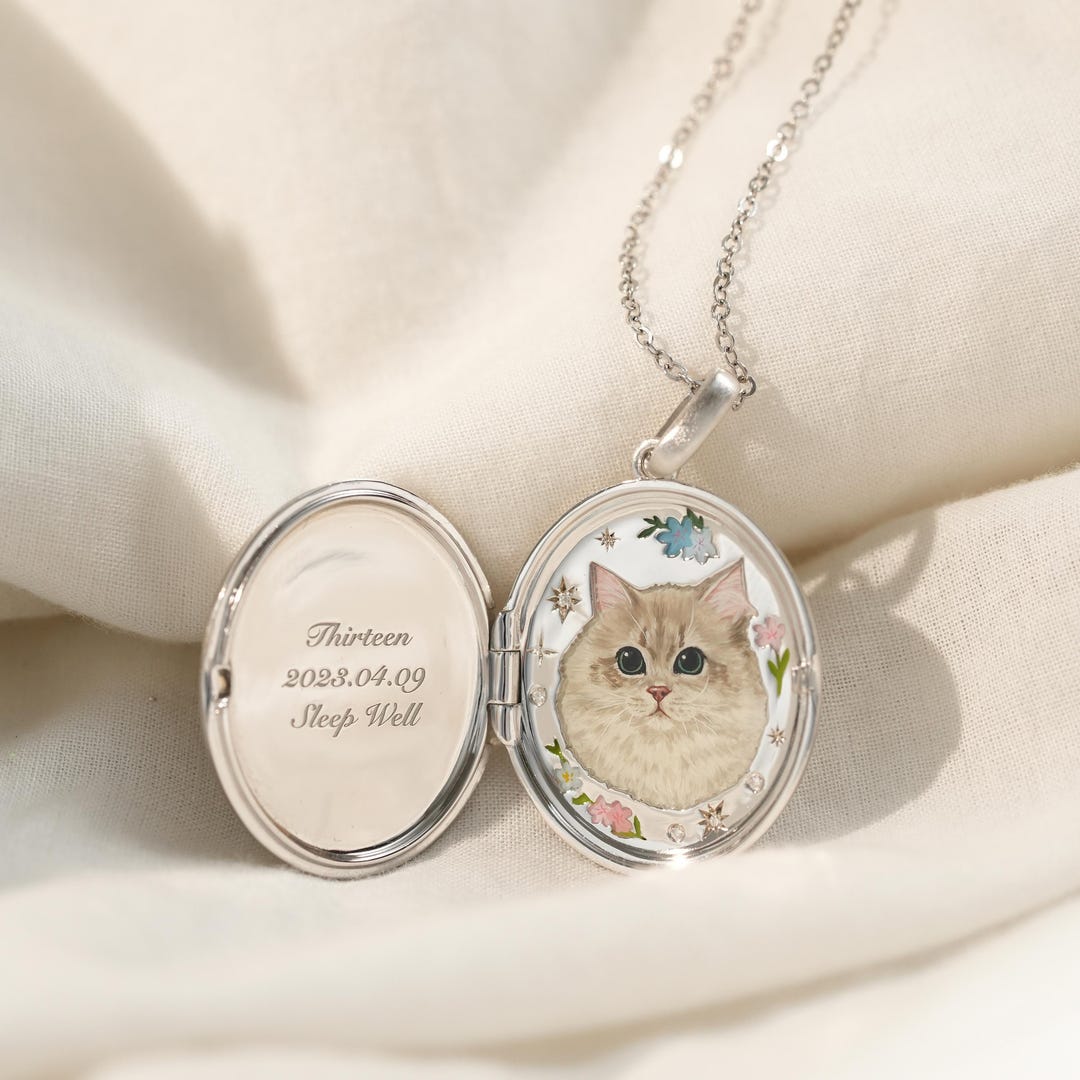 Custom Pet Locket Necklace, Cat Memorial Necklace, Hand Enameled ...