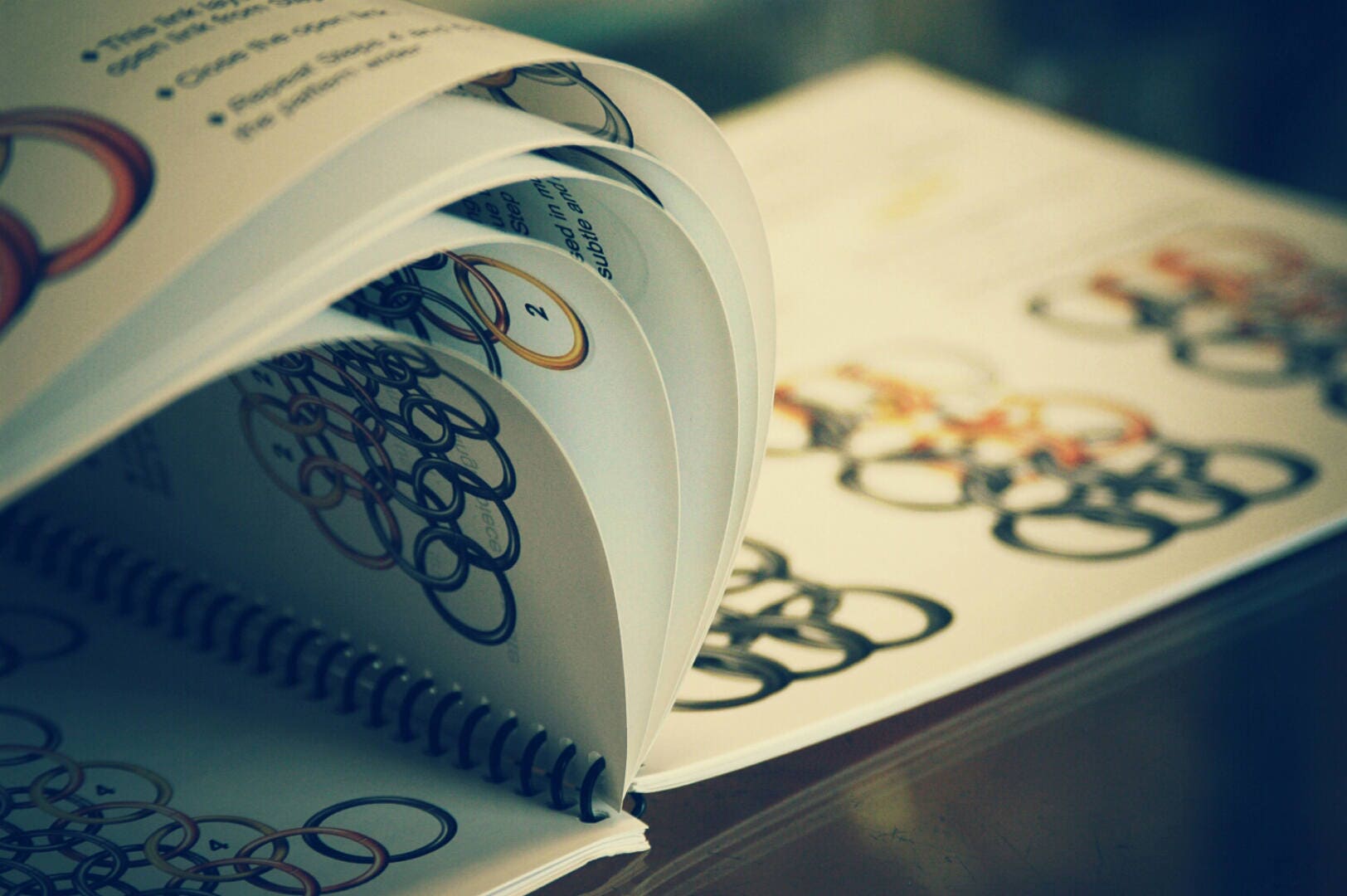 Chainmail/diy/tutorials/books/dylon Whyte/the Art of Chain Mail ...