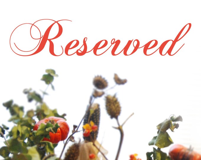 Reserved Listing Hand Painted Ceramic Eco-friendly Travel Mug Daisies ...