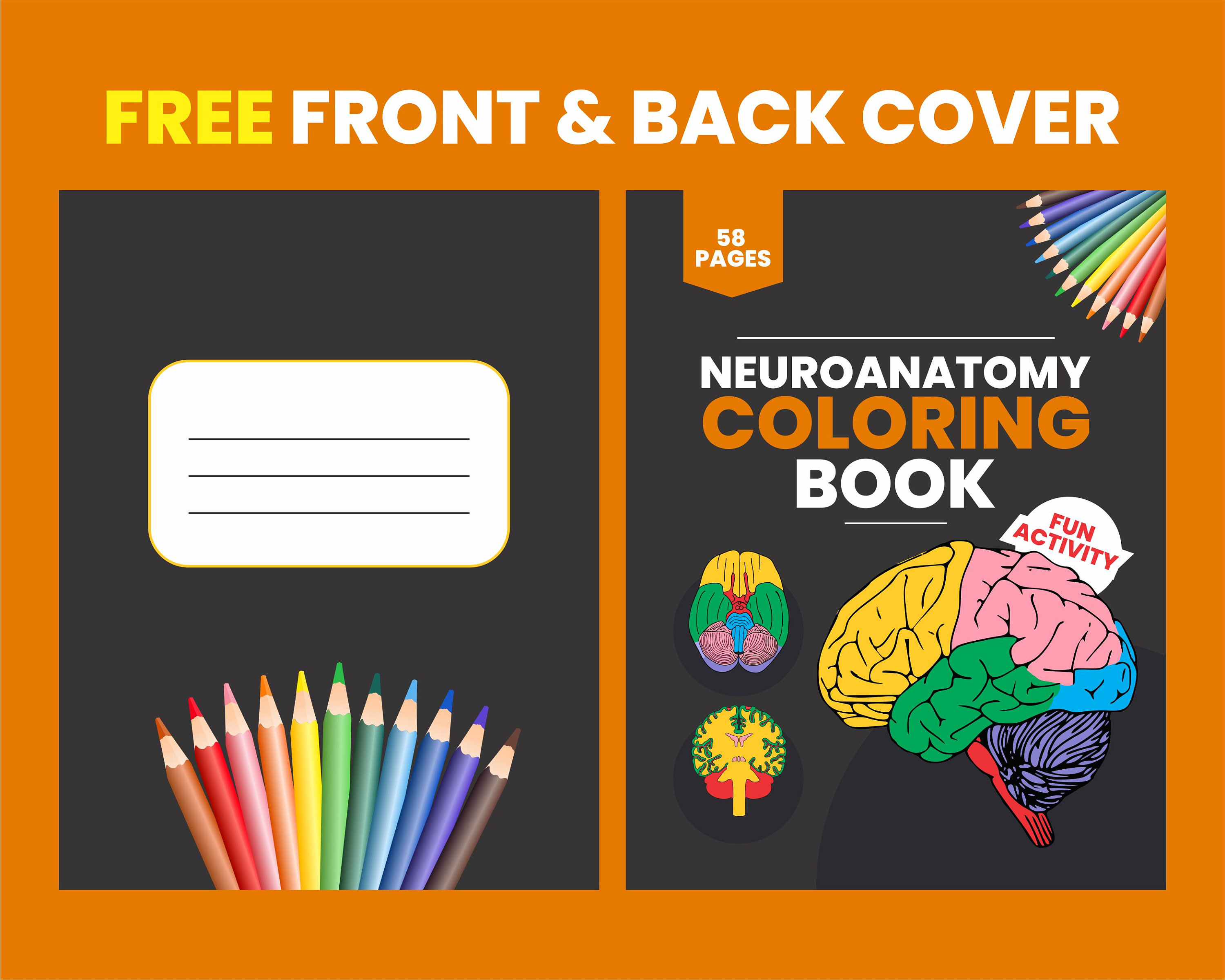 Printable Neuroanatomy Coloring Book, Human Brain Fun Activity Book for ...