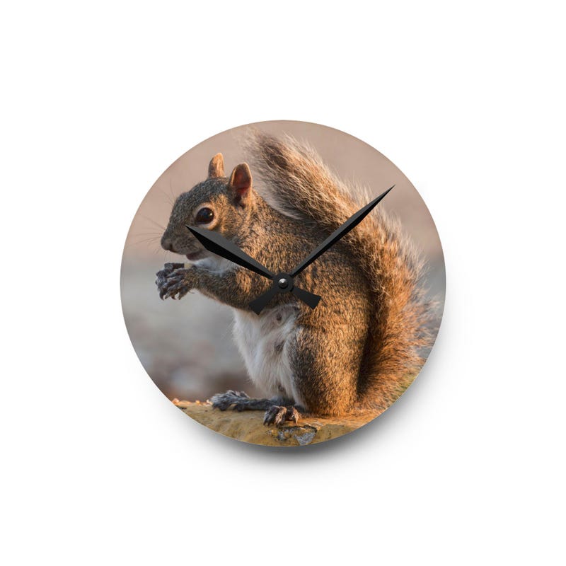 Squirrel Clock - Etsy